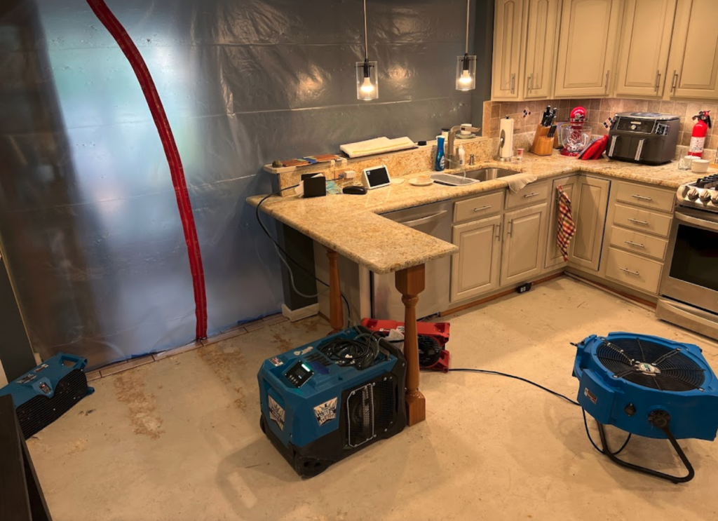 Water Damage Restoration - What to Expect and Next Steps